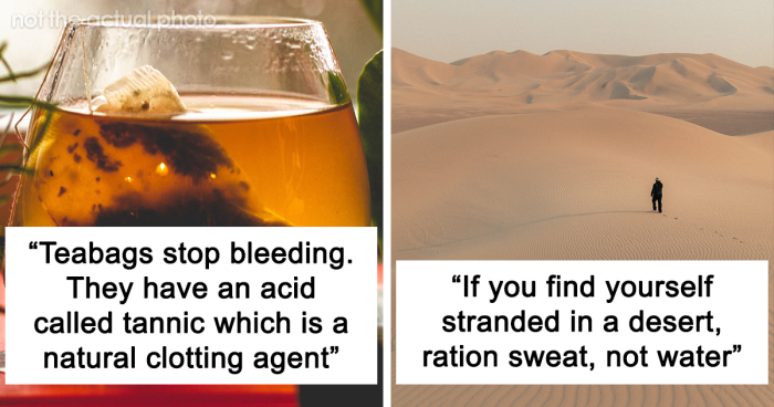 Someone Asked People To Share “Real But Crazy Facts That Could Save ...
