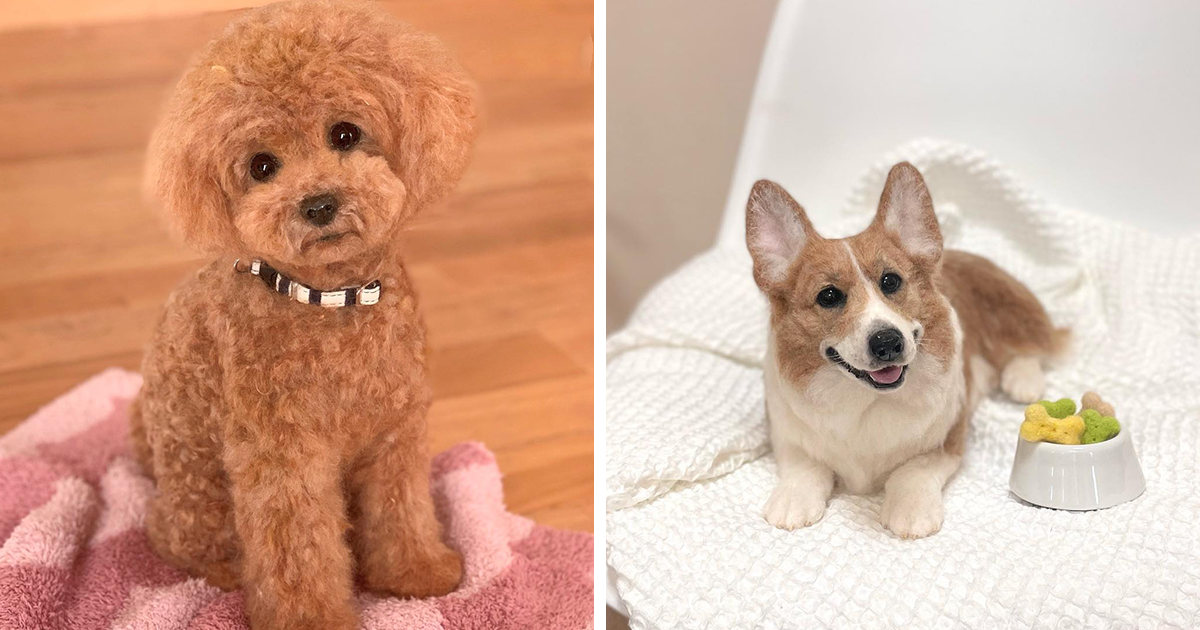 This Artist Creates Such Adorable Animals, It’s Hard To Believe They’re ...