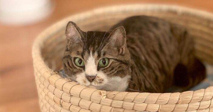 This Artist Creates Such Adorable Animals, It’s Hard To Believe They’re ...