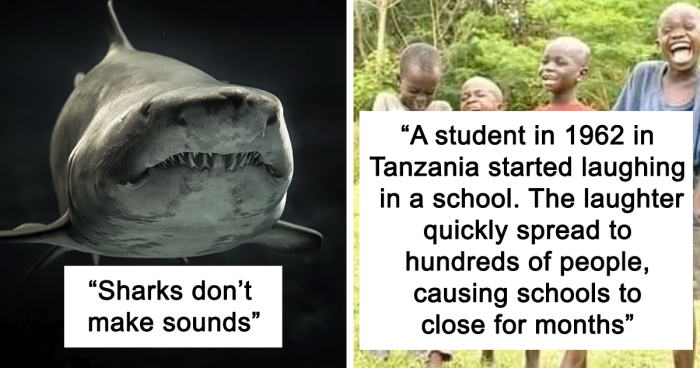 People Are Sharing Uncommon Facts On ‘Today I Learned’, Here Are 40 Of ...