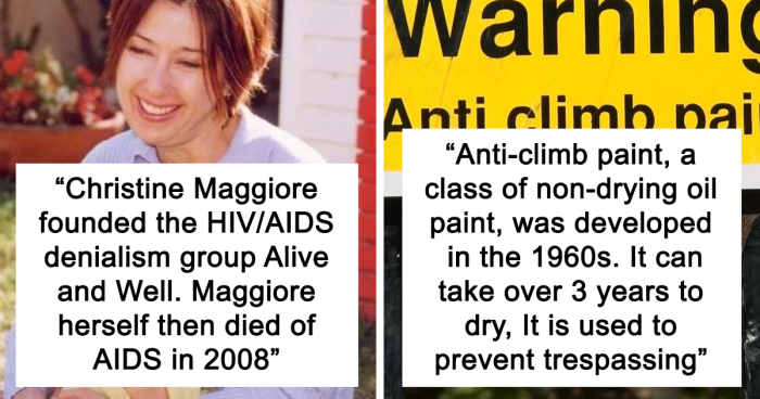 “Today I Learned”: 40 Lesser-Known Facts About The World That Should Be ...