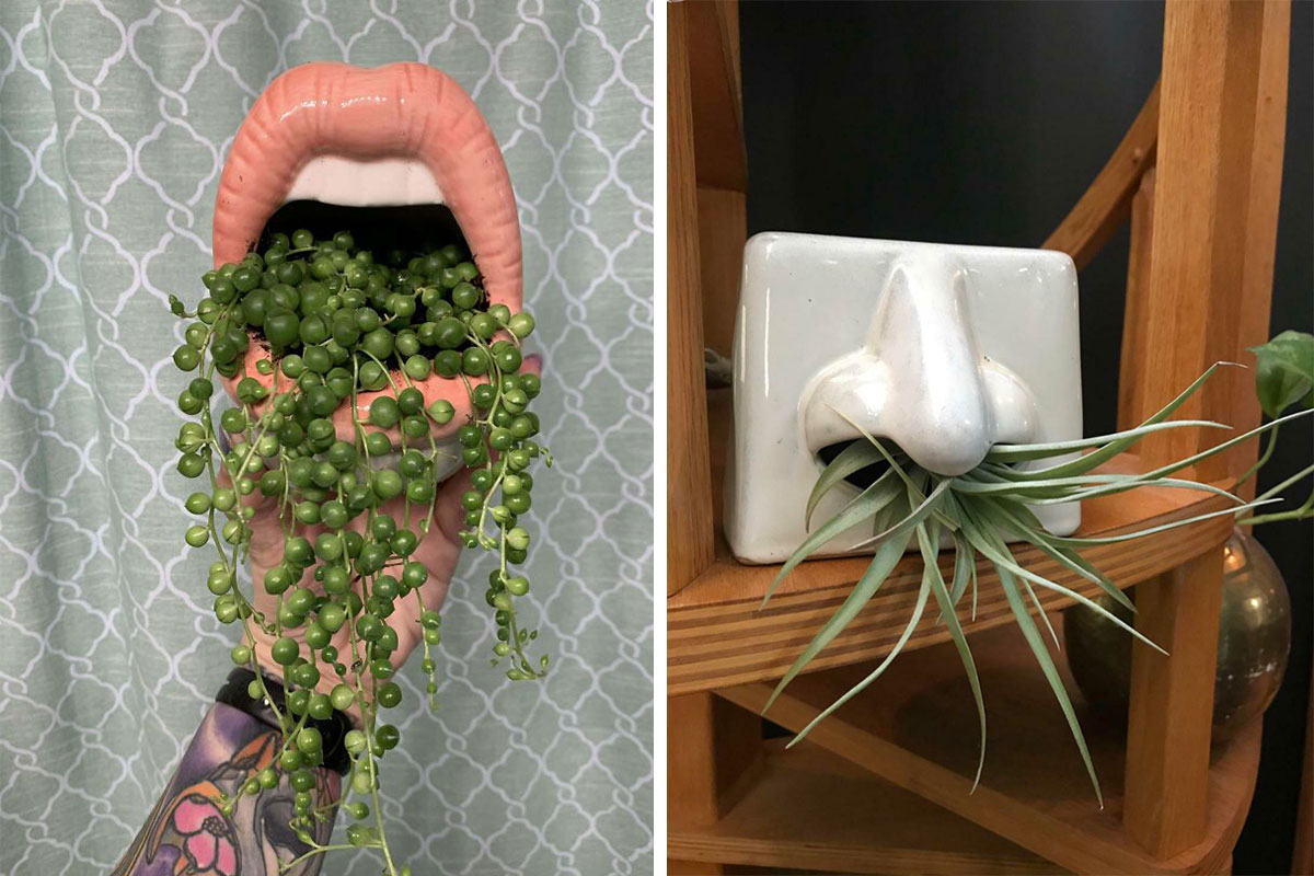 30 Times People Paired Plants And Pots So Perfectly, They Just Had To ...