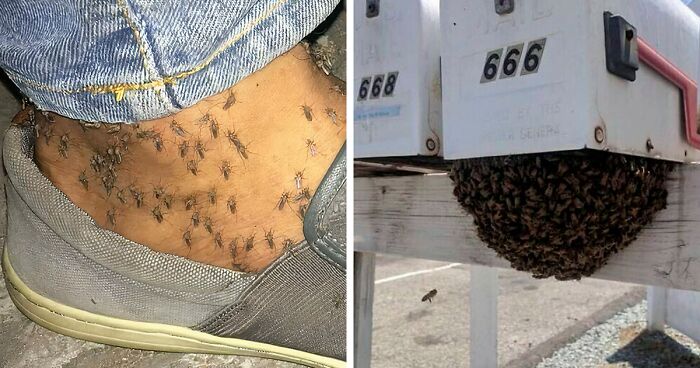 50 Of The Most ‘Cursed’ Photos Shared On This Instagram Page