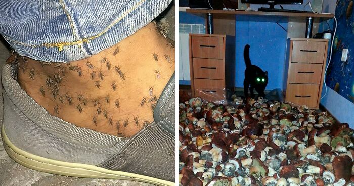 50 Of The Most ‘Cursed’ Photos Shared On This Instagram Page