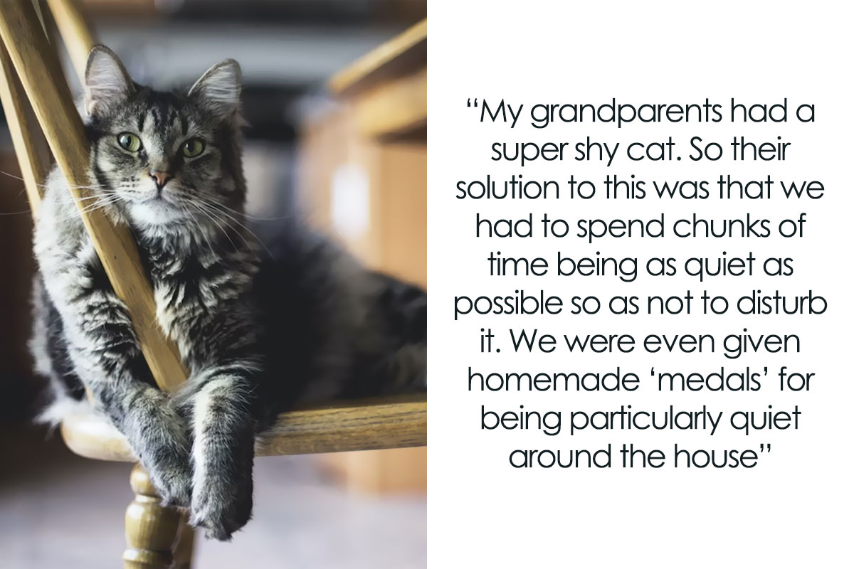 “What Is The Weirdest Rule You Had To Follow While A Guest At Someone’s ...