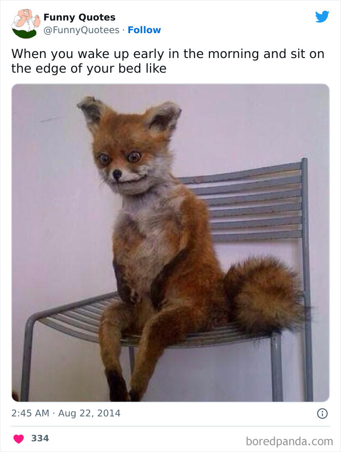 75 Morning Memes To Go With Your Coffee | Bored Panda