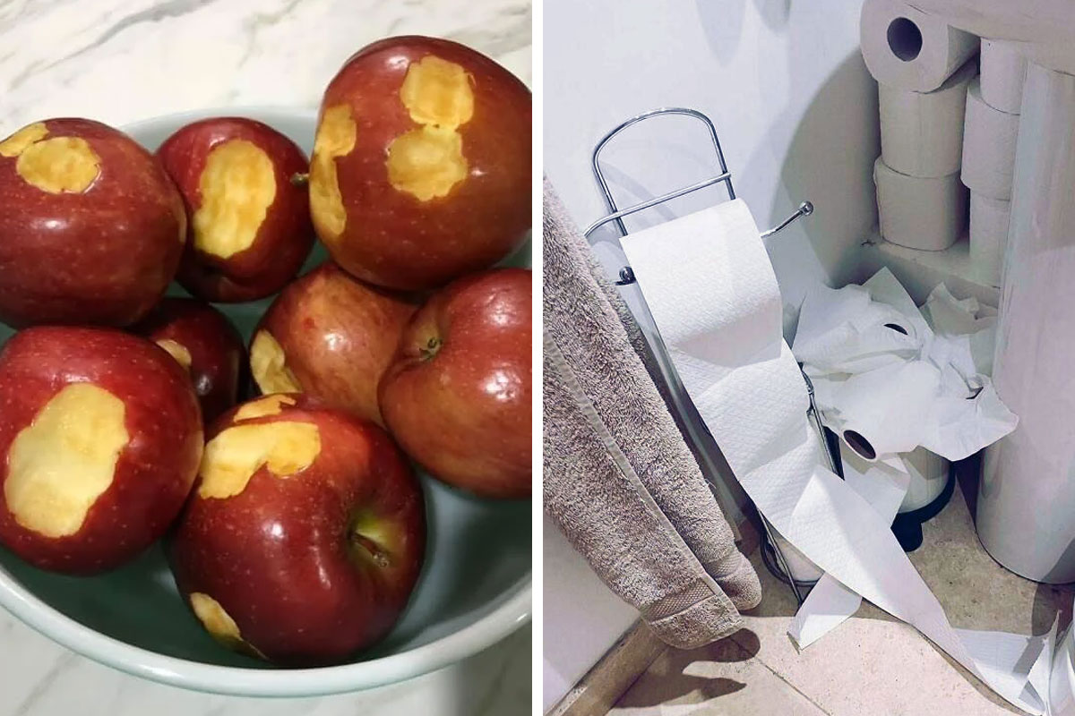 45 Times People Were So Mad At Their Family Members, They Just Had To ...