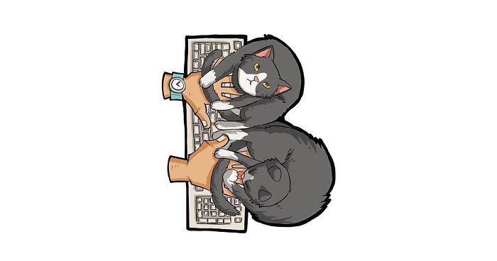 This Artist Created A Series Of Illustrations Showcasing The Cat ...