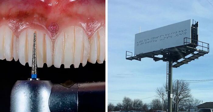 This IG Page Is Sharing Cursed Memes, And Here Are 56 Of The Best ...