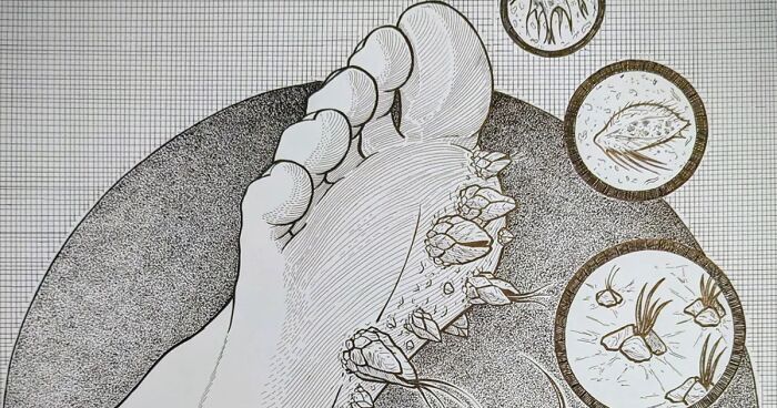 13 Unsettling Drawings With Creepy Stories By Ed Harrington | Bored Panda