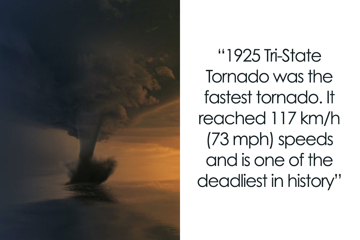 34 Fastest Things In The World That Are Really Quick | Bored Panda