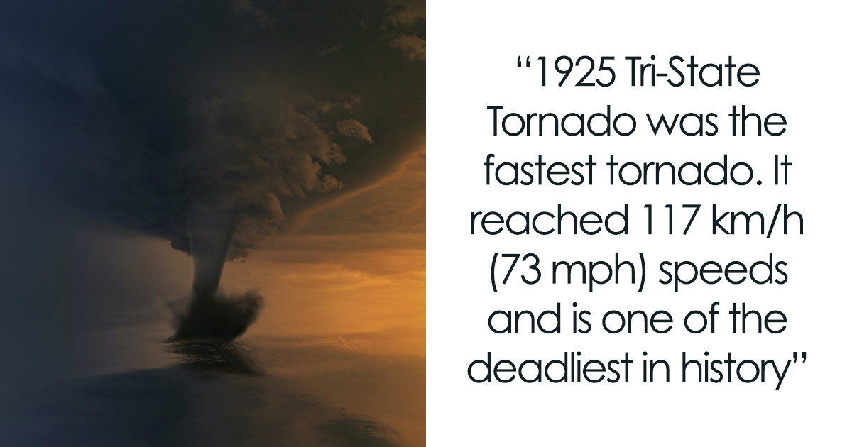 34 Fastest Things In The World That Are Really Quick | Bored Panda