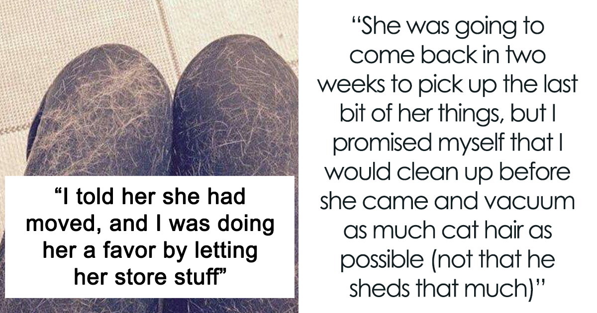 Person Gets Bashed By Cat-Allergic Ex-Roomie For Getting A Cat Before ...