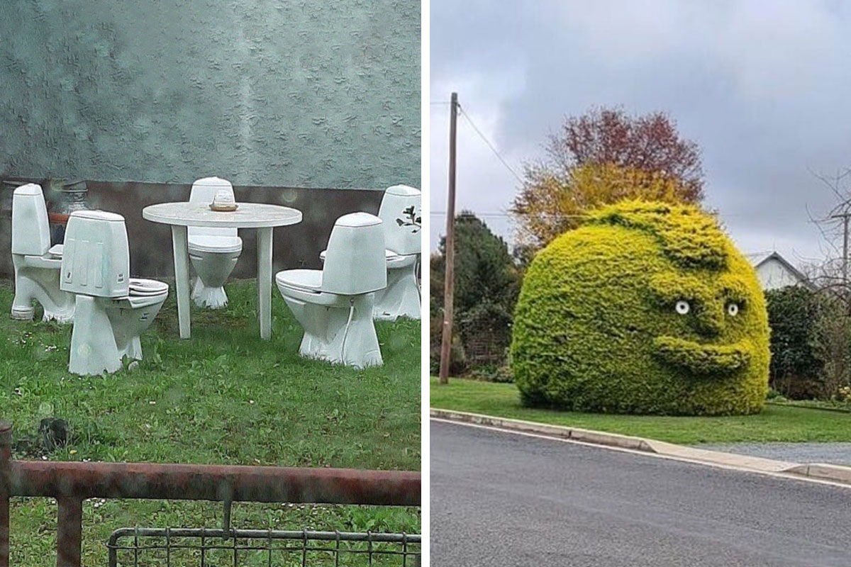 35 Times People Went Out Of Their Way To Make Their Gardens And Yards ...