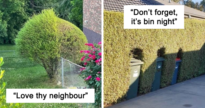 35 Times People Went Out Of Their Way To Make Their Gardens And Yards ...