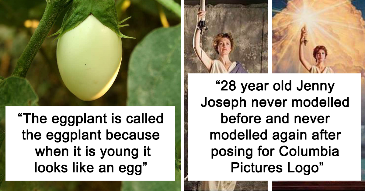 30 Fun And Interesting Facts To Share With Your Work Bestie | Bored Panda