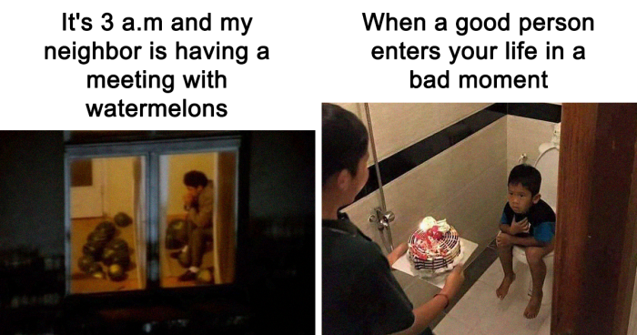 45 Of The Funniest And Most Relatable Introvert Memes Shared On This ...