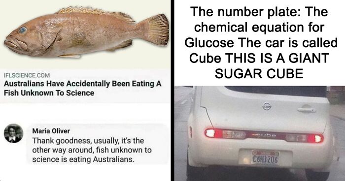 These 50 Science Memes Unite Brains With Chuckles And Result In A Good ...