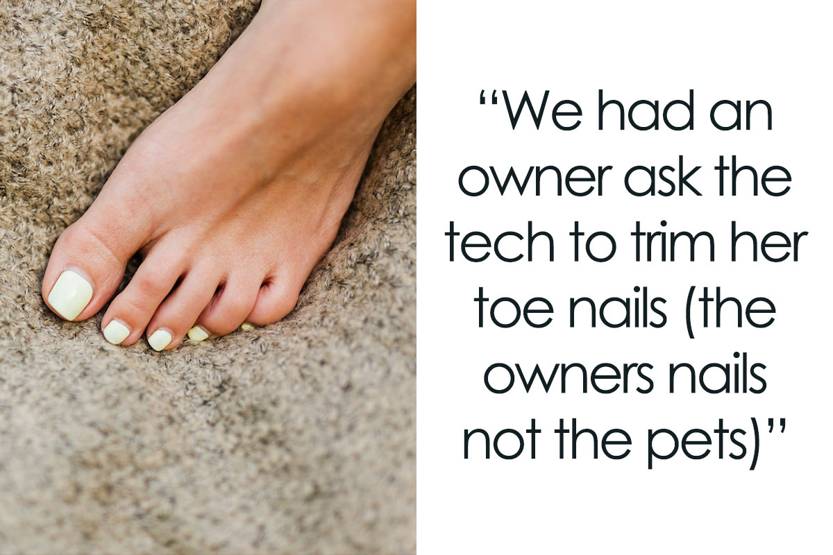 30 Hilarious Stories From Vets About Pets And Their Sometimes Clueless ...