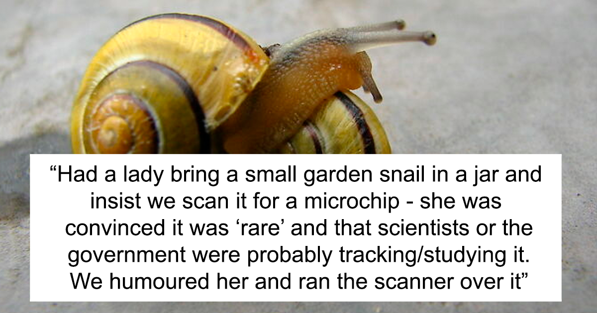 30 Hilarious Stories From Vets About Pets And Their Sometimes Clueless ...