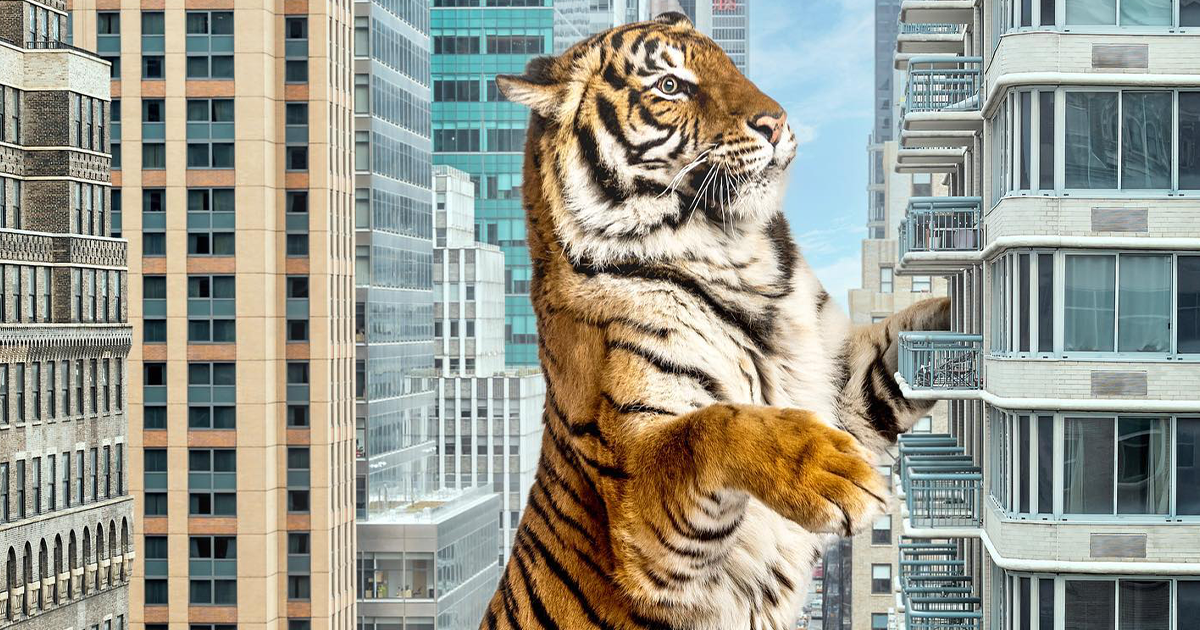 These Artists Create Surreal Photo Edits With Giant Animals In Them (16 ...