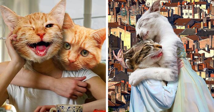This Artist Creates Peculiar Collages Featuring Cat Photos, And Here ...