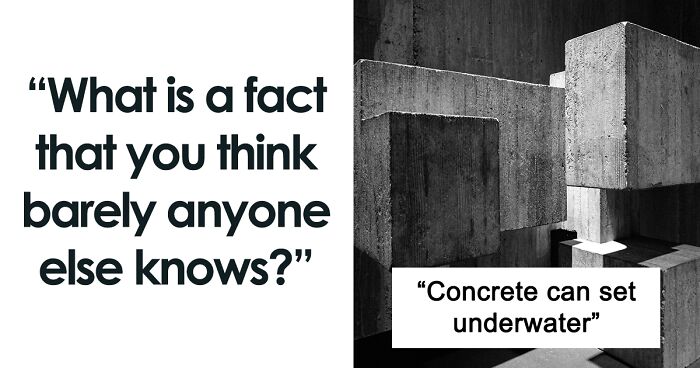 Someone Asks People To Share Facts That “Barely Anyone Knows”, And They ...