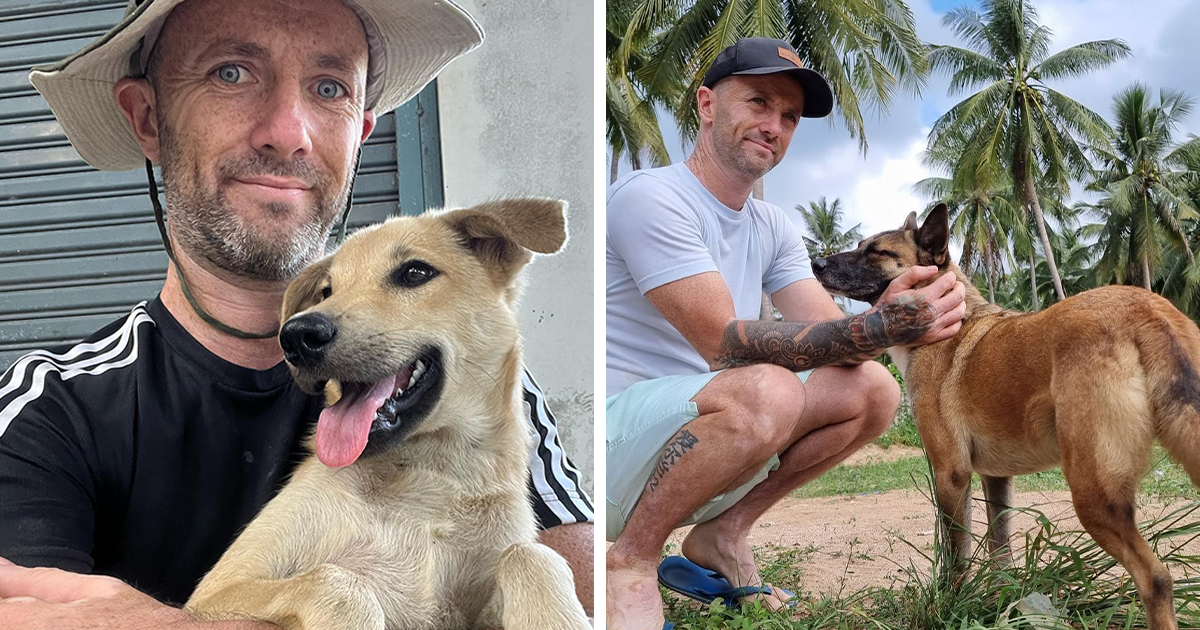 Man Finds His True Happiness Saving Stray Dogs In Thailand (20 Pics ...