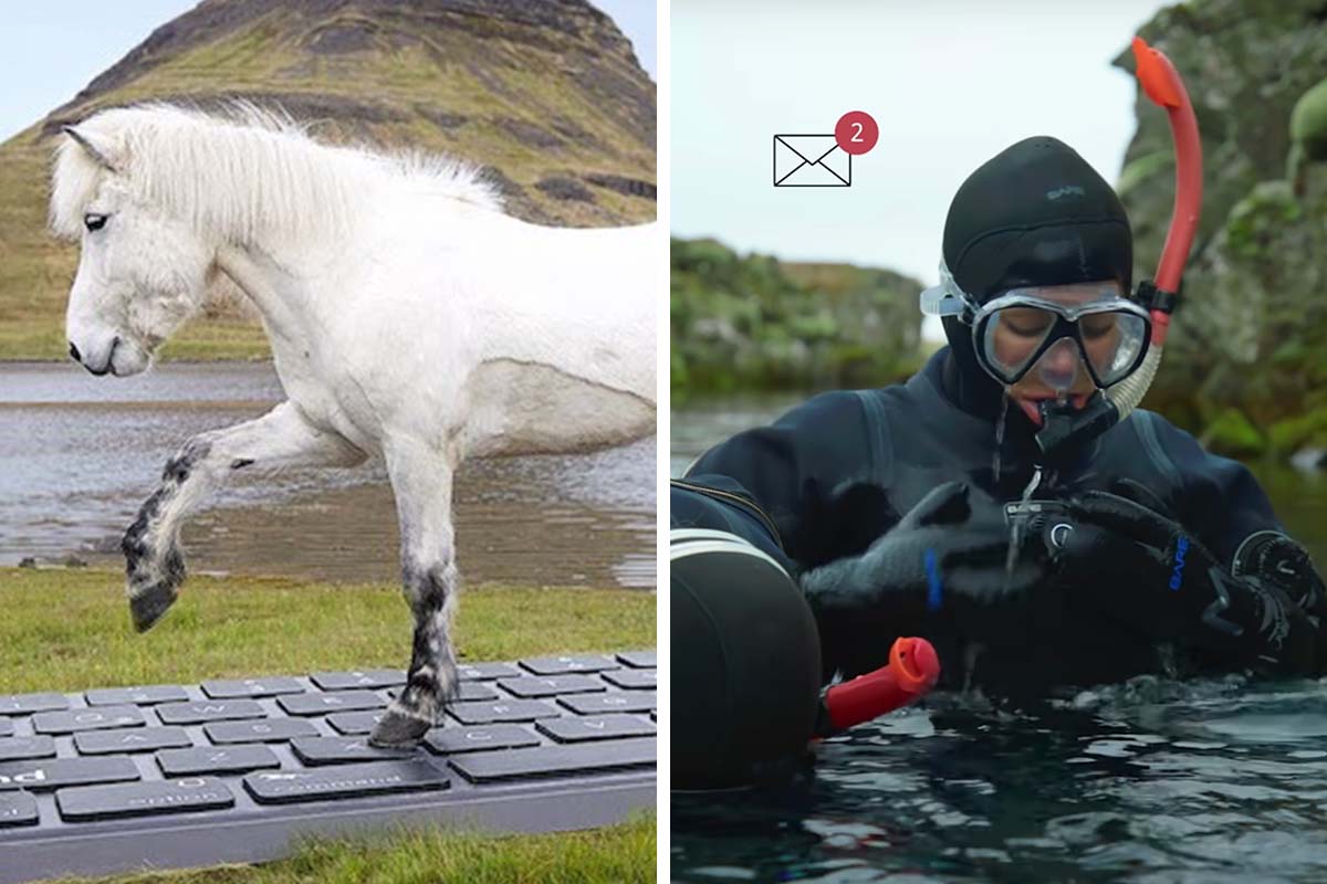 These Icelandic Horses Will Reply To Work-Related Emails On A Giant ...