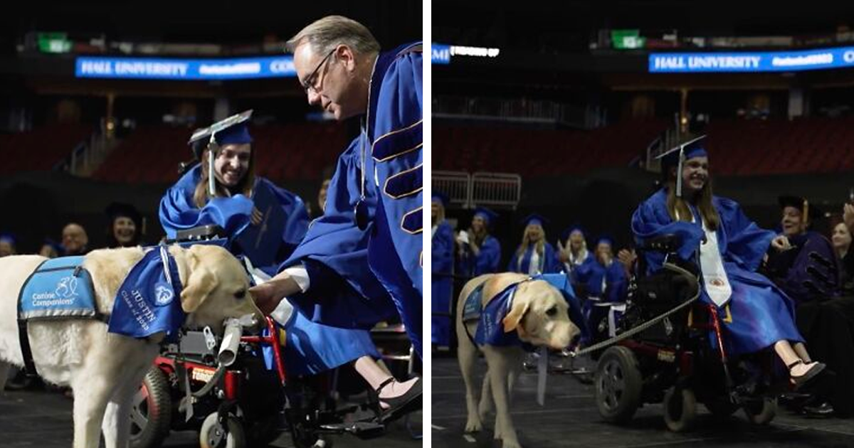 Video Showing A Service Dog Receiving A Diploma Alongside Owner With ...