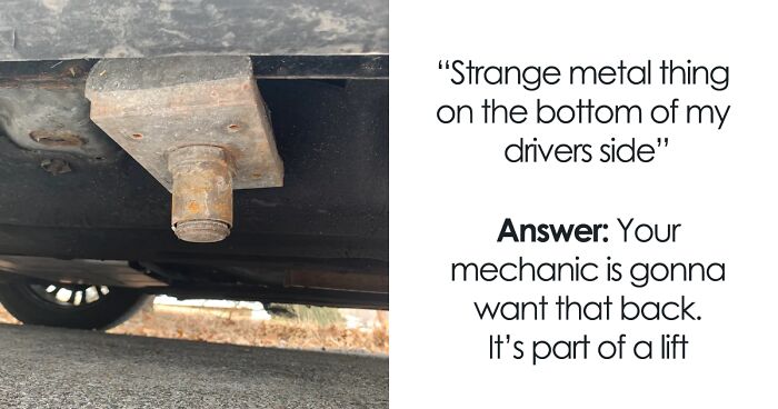 35 Times People Online Were Better Than Google At Identifying Unknown ...