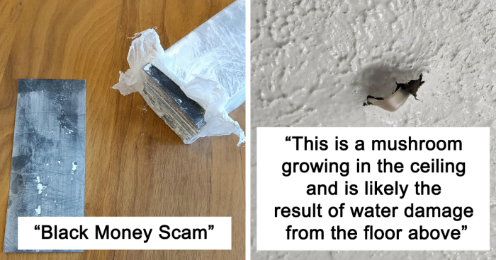 35 Times People Online Were Better Than Google At Identifying Unknown ...