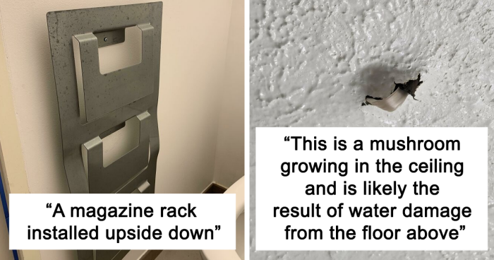 35 Times People Online Were Better Than Google At Identifying Unknown ...