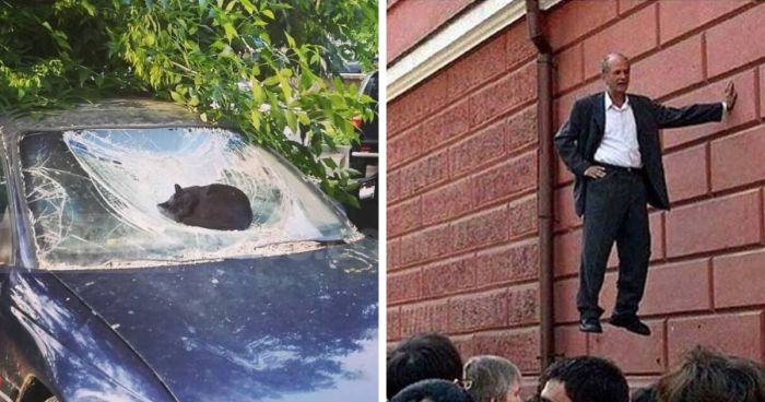 This “Unpleasant Images” Page Posts Exactly What’s Written On The Tin ...