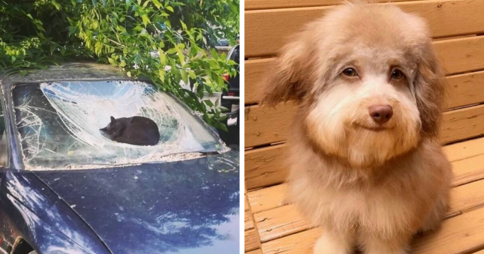 This “Unpleasant Images” Page Posts Exactly What’s Written On The Tin ...