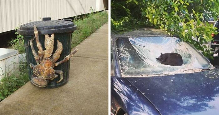 This “Unpleasant Images” Page Posts Exactly What’s Written On The Tin ...