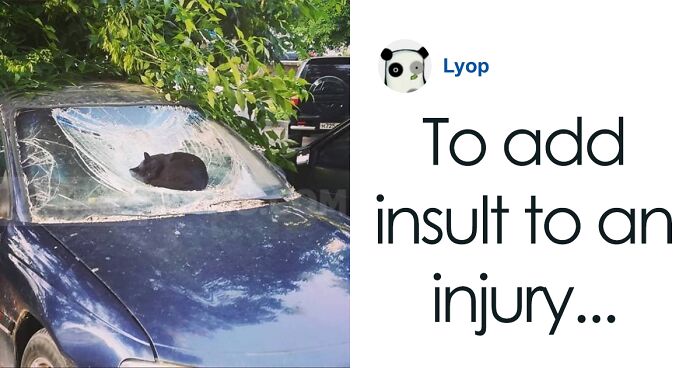 This “Unpleasant Images” Page Posts Exactly What’s Written On The Tin ...
