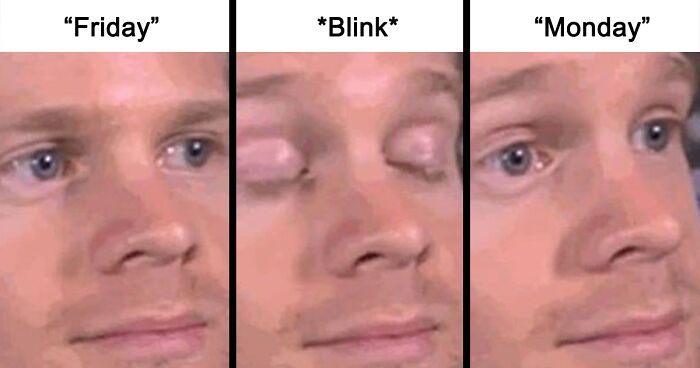 40 Of The Wittiest And Smartest Weekend Memes To Make Your Day | Bored ...