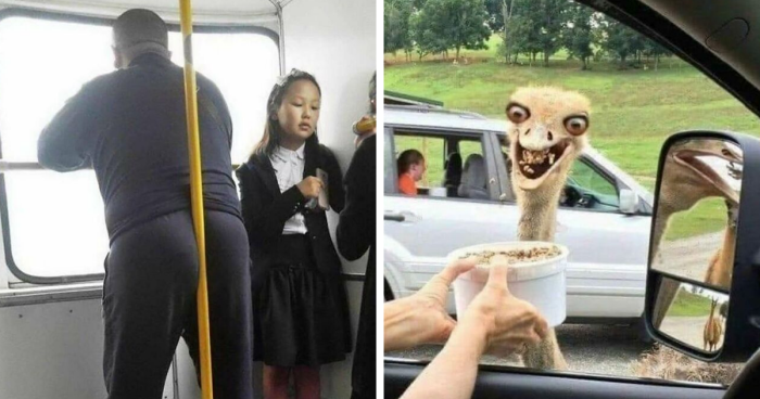 41 Cursed Images We Don’t Advise To Check Before Sleep