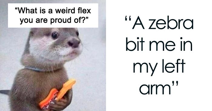 30 Things People Are Proud Of But They Could Be Considered A Weird Flex ...