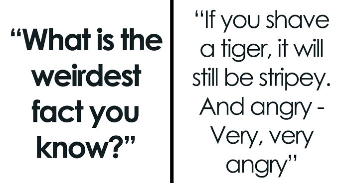 35 Of The Weirdest, Maybe Useless, But Interesting Facts To Know ...