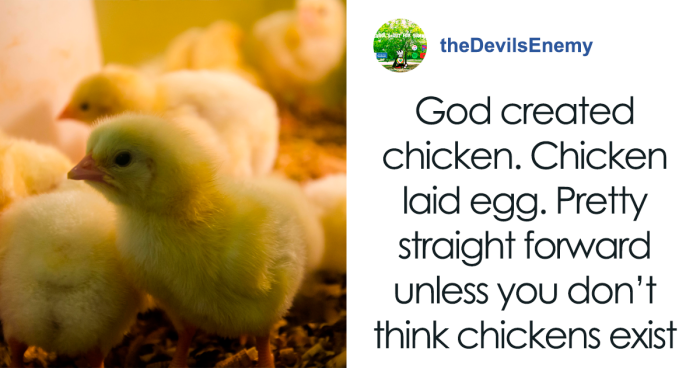 Thank You, Science: The Eternal Question, “What Came First, The Chicken ...