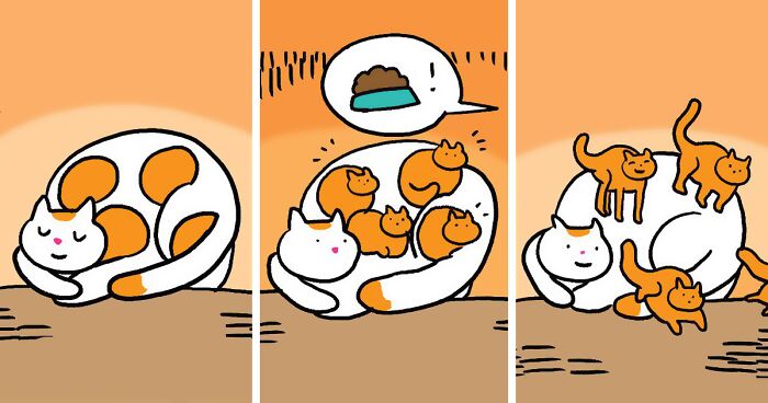 50 Feel-Good Wordless Cat Comics That Will Make Your Day By This Dutch ...