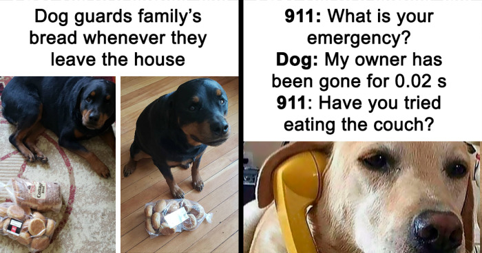 50 Wholesome Memes As Shared By This Twitter Page To Brighten Up Your ...