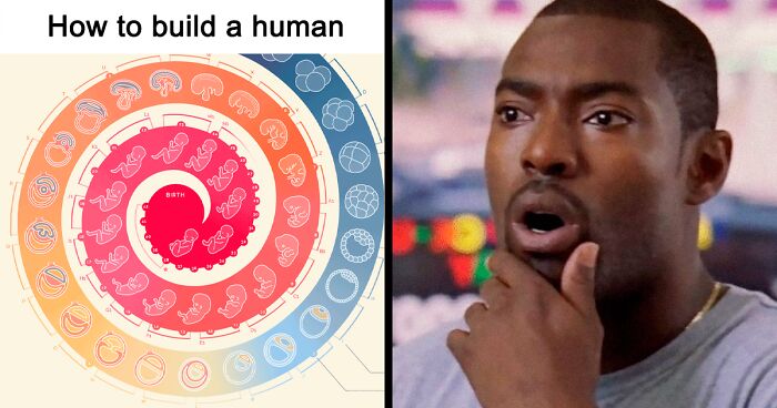 40 Times People Summarized Data In Interesting Charts That Might Clear ...