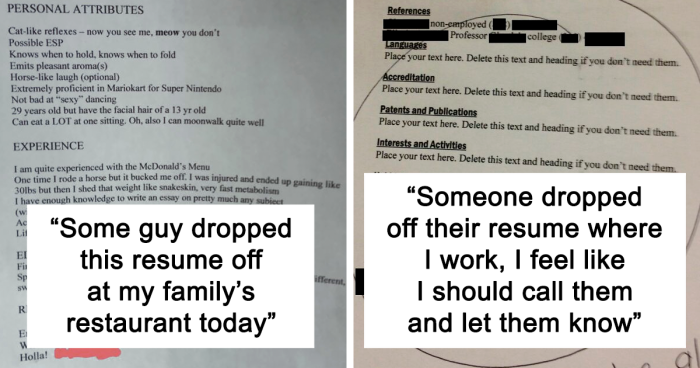 40 Times Recruiters Were Dumbfounded By People’s Actual Resumes | Bored ...