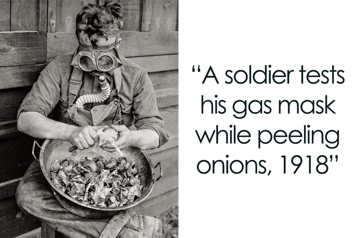 50 Of The Most Captivating Historical Pictures For History Enthusiasts ...