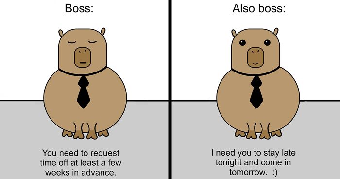 My Comic About Capybaras Showcases The Situations Many Of Us Have To ...