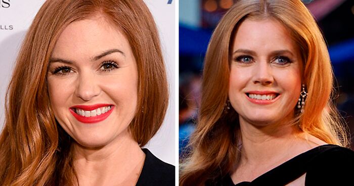 “Who Are Two Celebrities Who Look Alike?”: 30 People Provide Answers ...