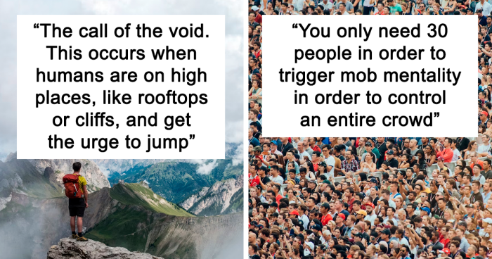 A Netizen Wanted To Hear Some Creepy Facts About Human Nature, The ...